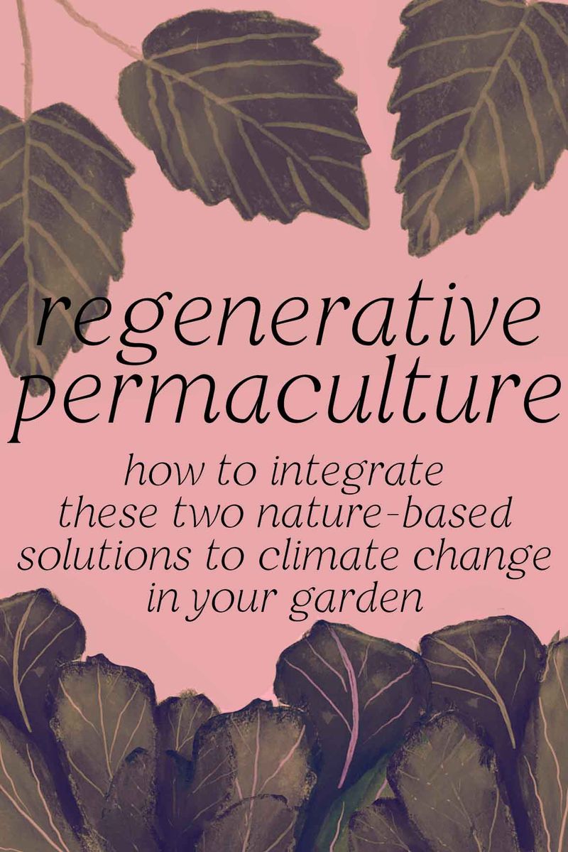 Eco-Friendly Homestead: Regenerative Gardening Guides